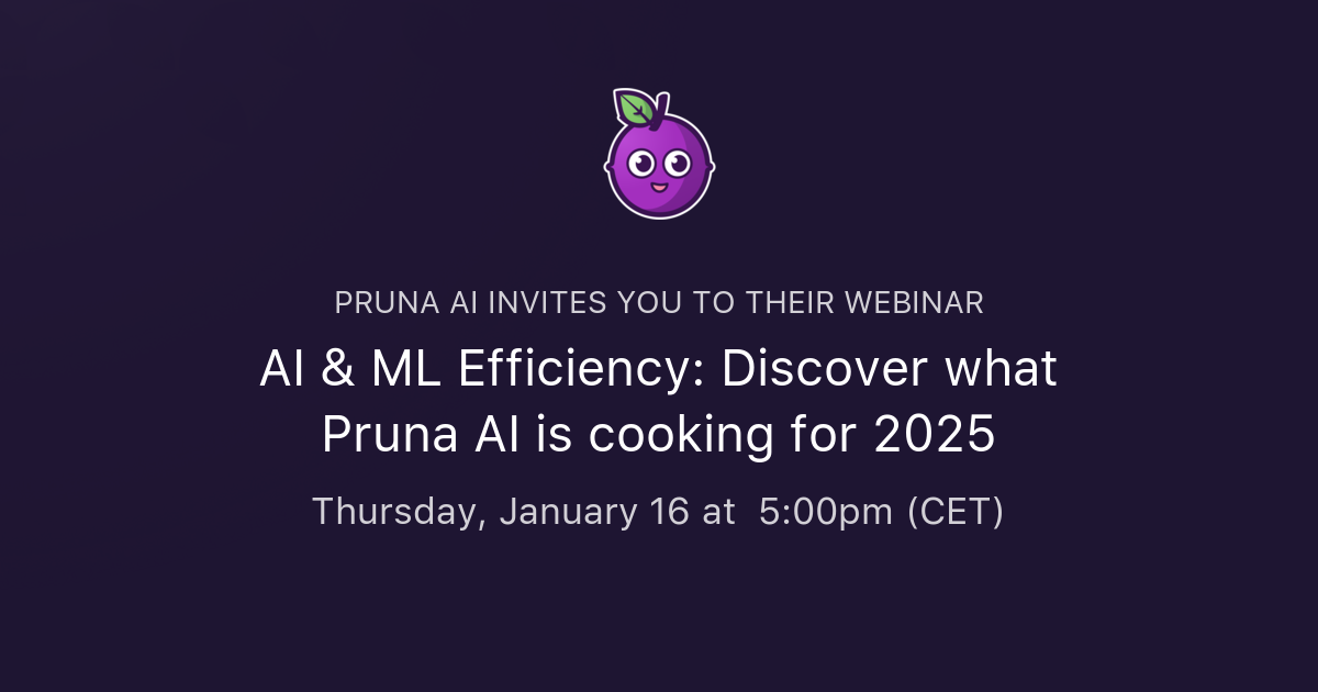 AI & ML Efficiency: Discover what Pruna AI is cooking for 2025 | Pruna AI