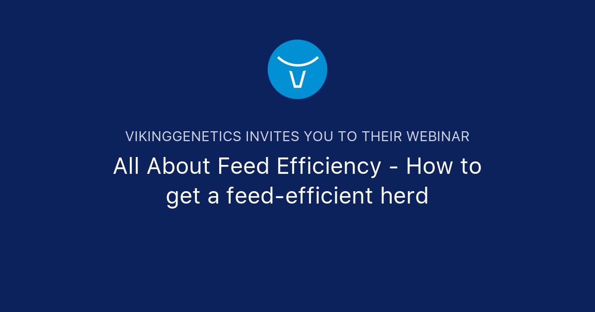 All About Feed Efficiency - How to get a feed-efficient herd | VikingGenetics