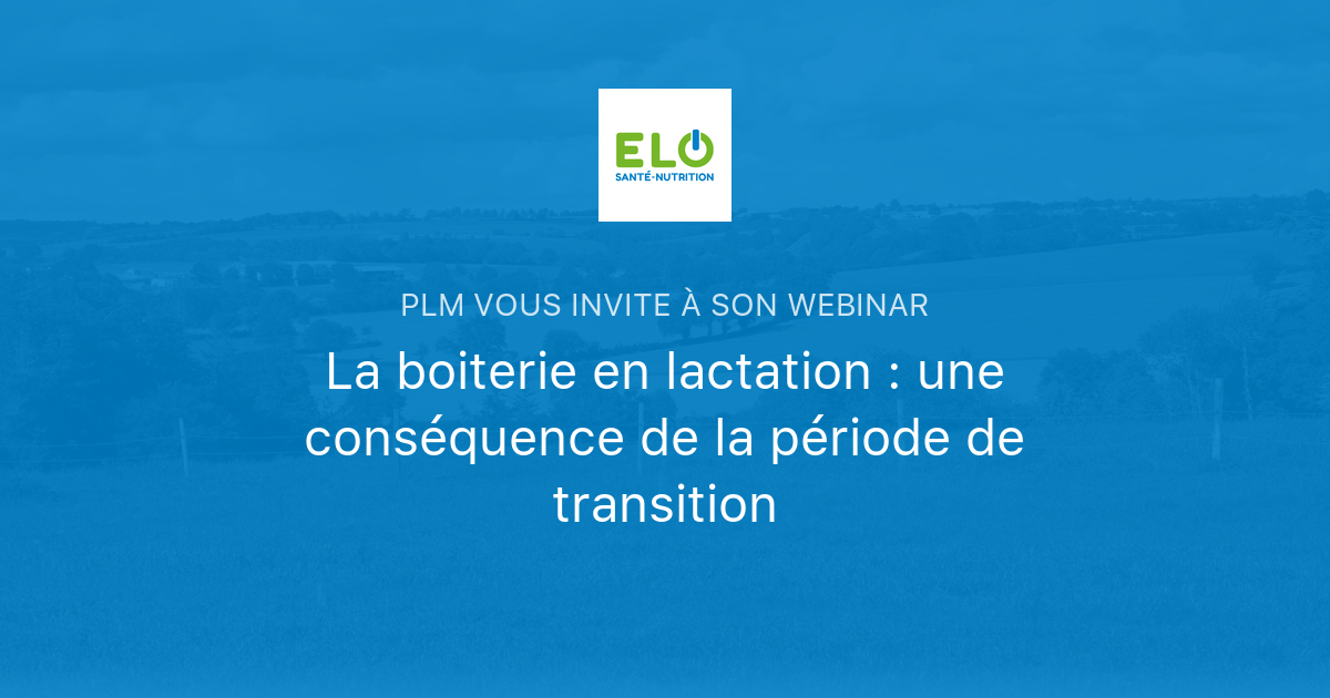 La boiterie en lactation : une conséquence de la période de transition ...