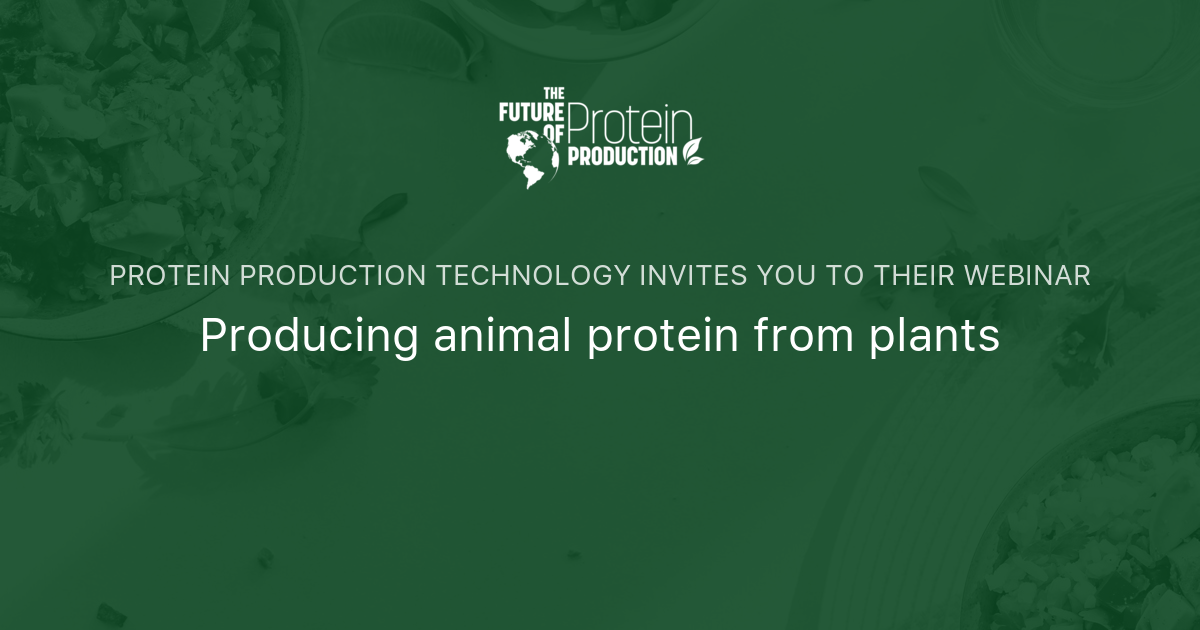 Producing animal protein from plants | Protein Production Technology