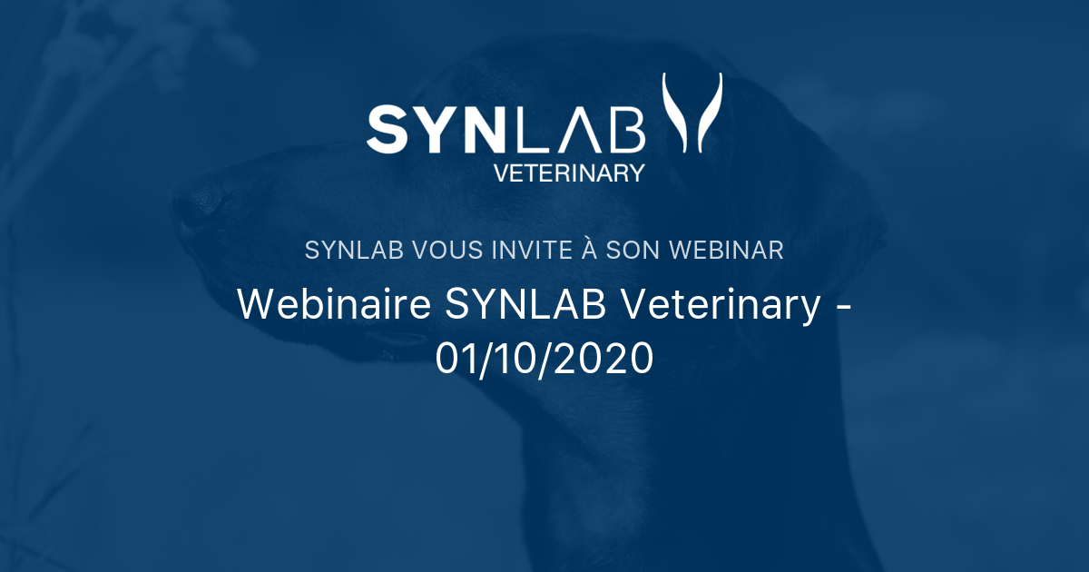 Webinaire SYNLAB Veterinary - 01/10/2020 | SYNLAB