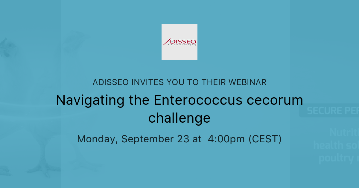 Navigating the Enterococcus cecorum challenge | Adisseo