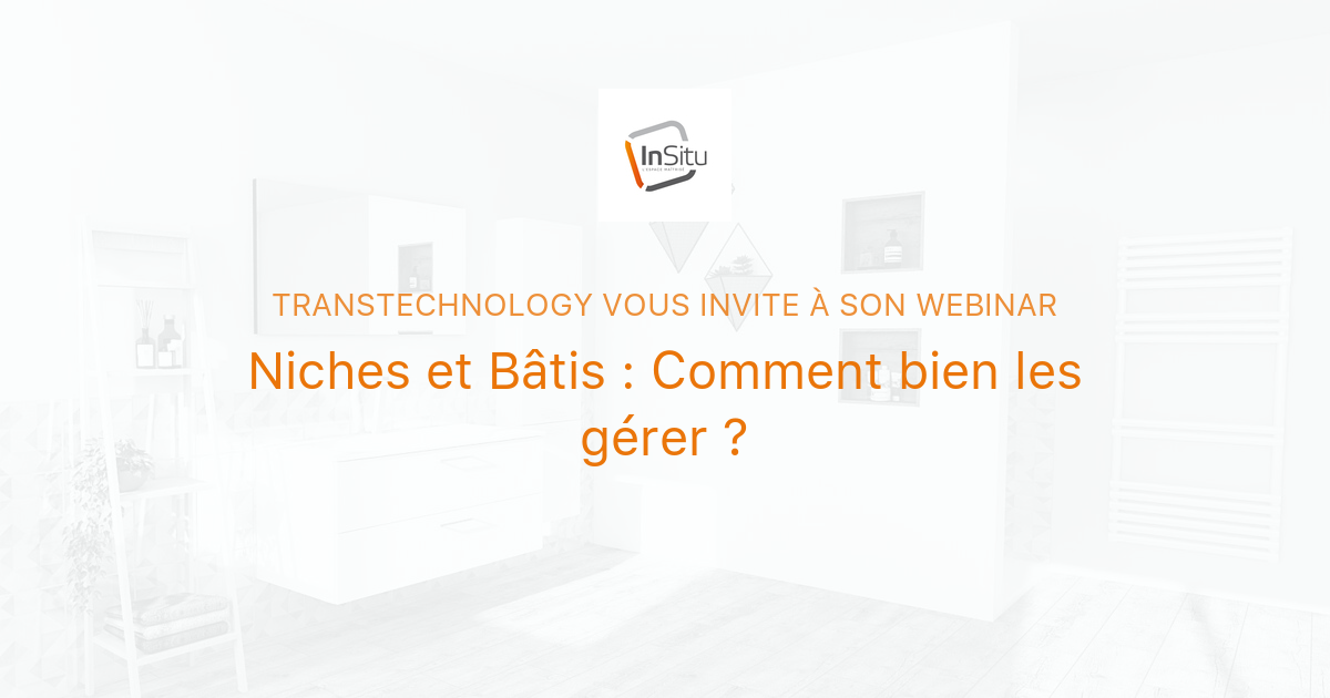 Niches et Bâtis : Comment bien les gérer ? | Transtechnology