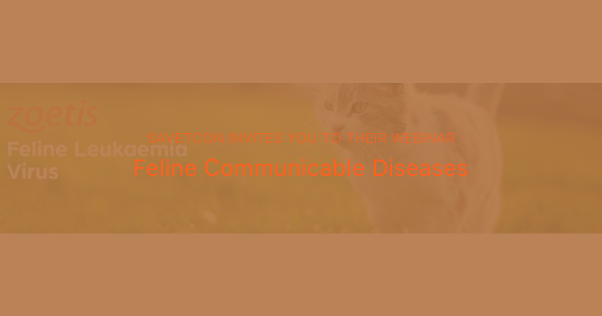 Feline Communicable Diseases | SAVETCON