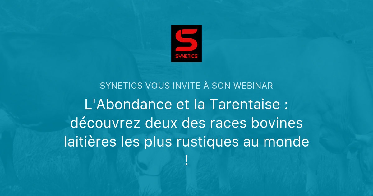 L'Abondance et la Tarentaise : découvrez deux des races bovines ...