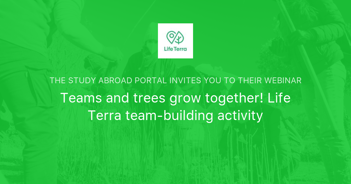 Teams and trees grow together! Life Terra team-building activity | The ...