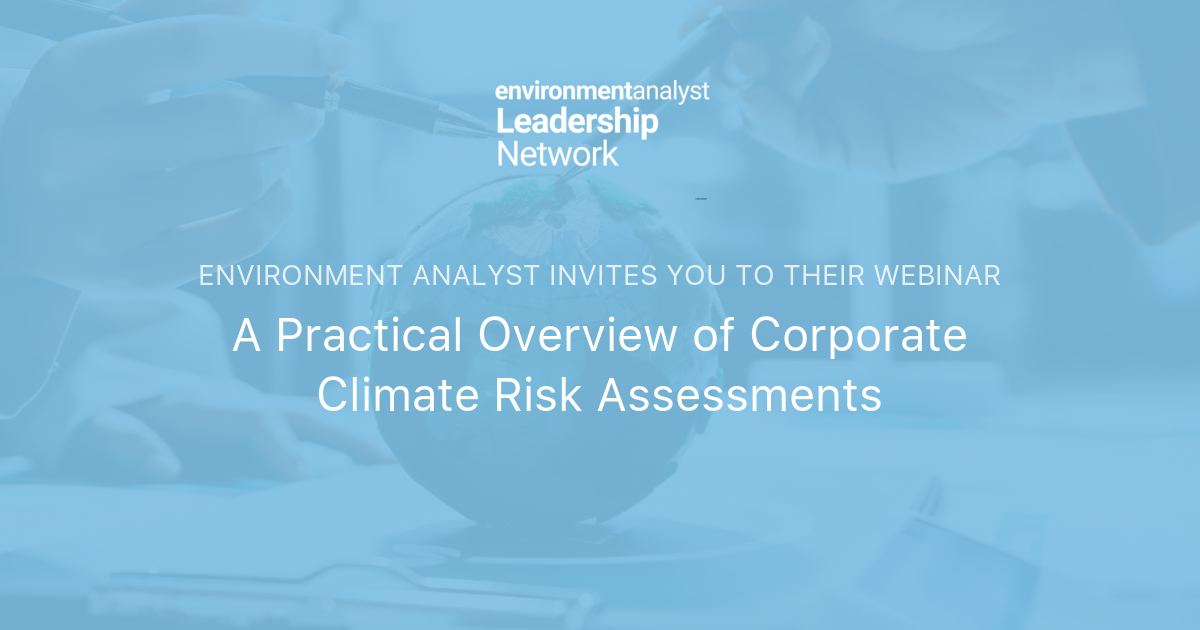 A Practical Overview of Corporate Climate Risk Assessments ...