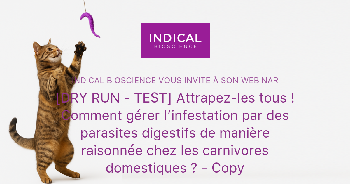 [DRY RUN - TEST] Attrapez-les tous ! Comment gérer l’infestation par ...
