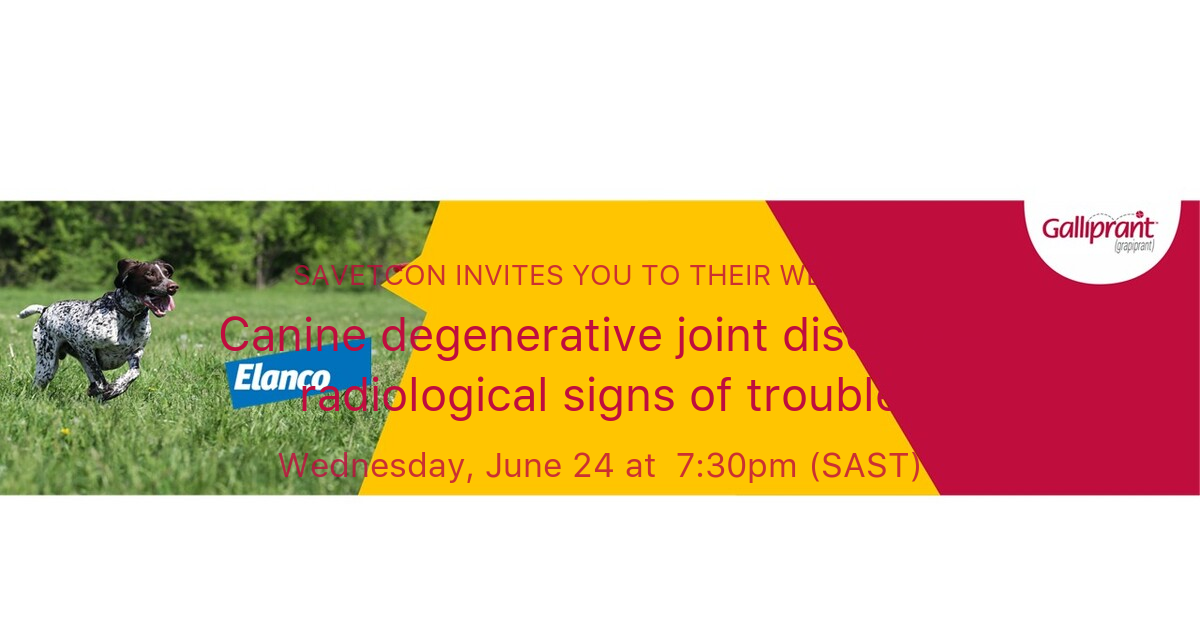 Canine degenerative joint disease – radiological signs of trouble ...