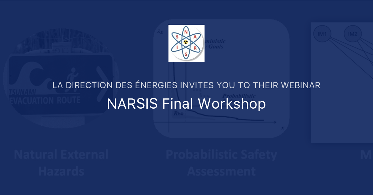 NARSIS Final Workshop | DES
