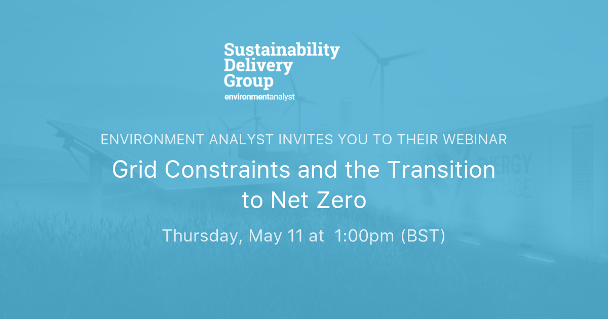 Grid Constraints and the Transition to Net Zero | Environment Analyst